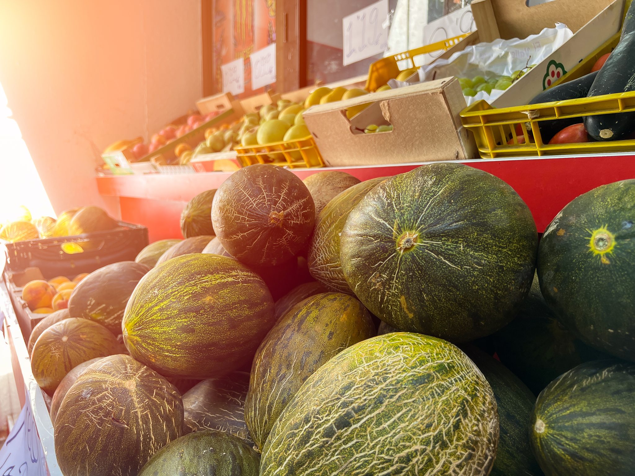 Encontre o SAPO em menos de 10 segundos; Valendo!